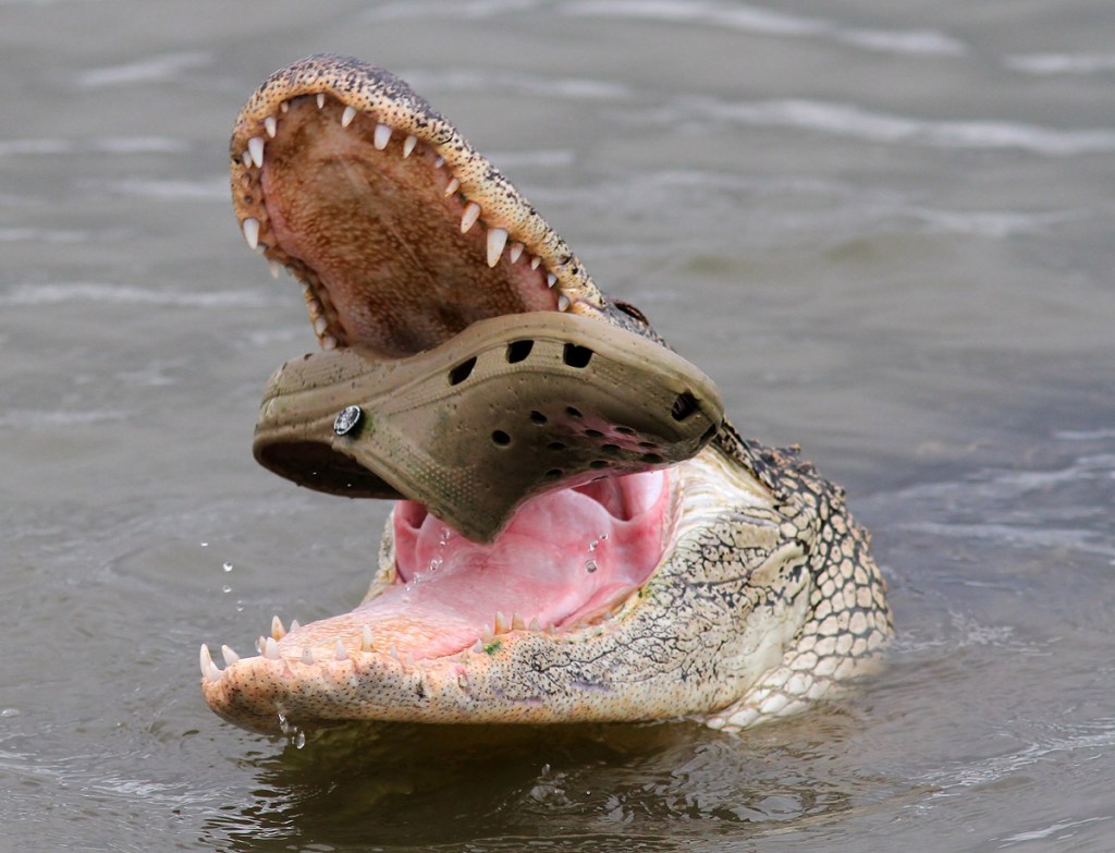 CROCtober